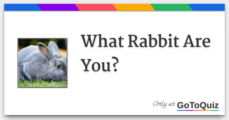 What Rabbit Are You?