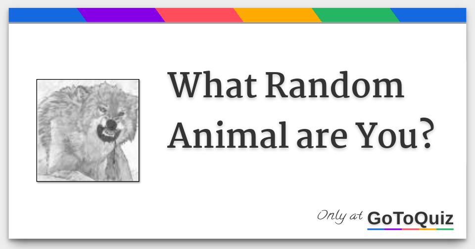 What Random Animal are You?
