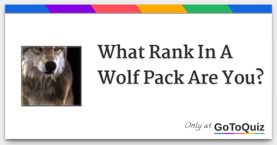 What Rank In A Wolf Pack Are You?