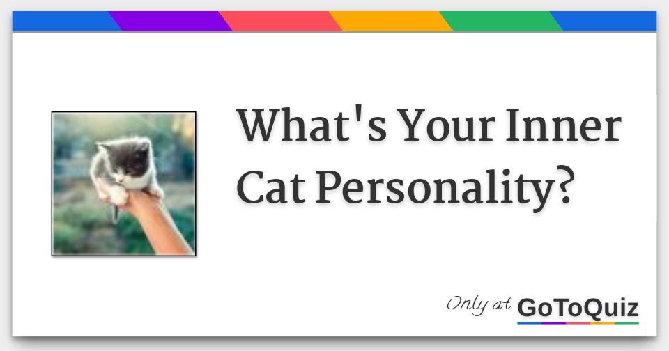 Learn Your Inner Cat Personality - Take the Quiz