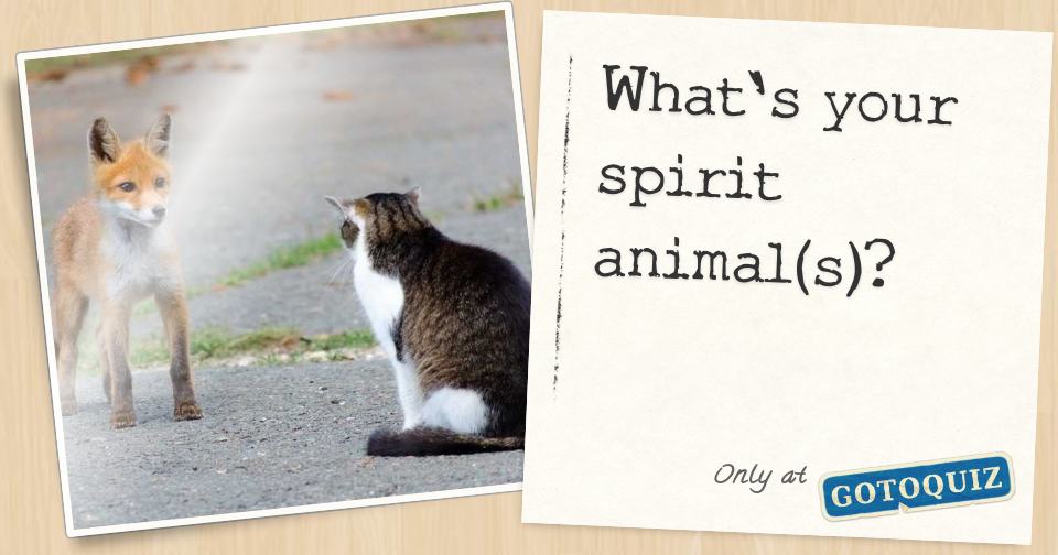 What's your spirit animal(s)?