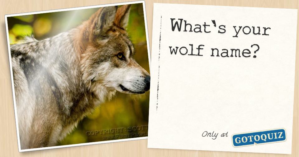 What's your wolf name?