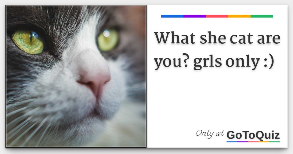 What she cat are you? grls only :)
