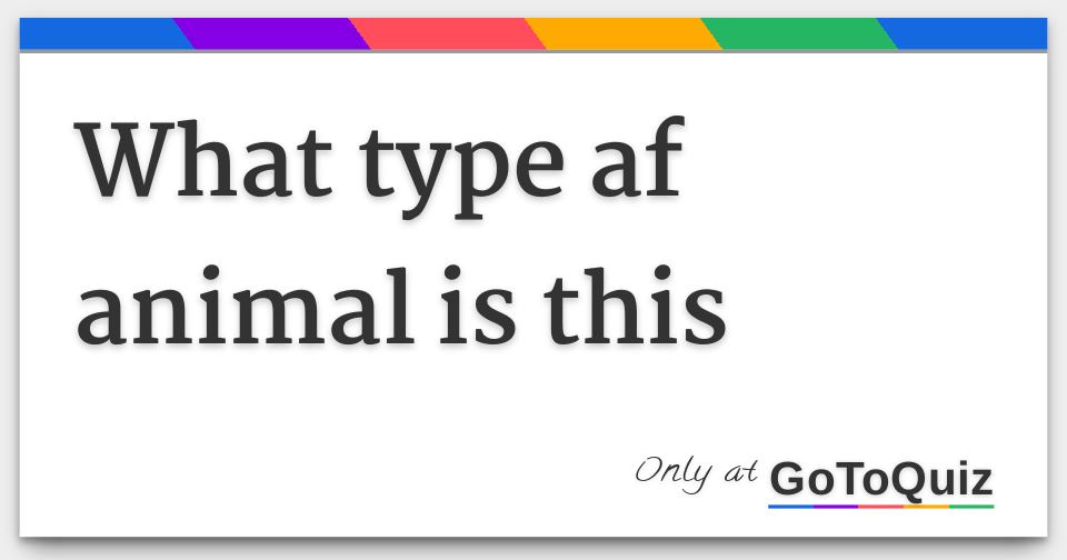 What type af animal is this