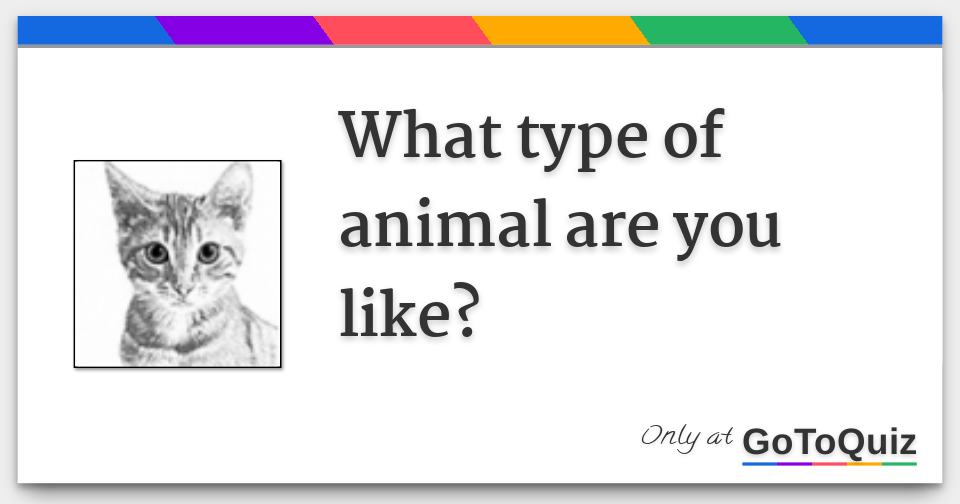 What type of animal are you like?