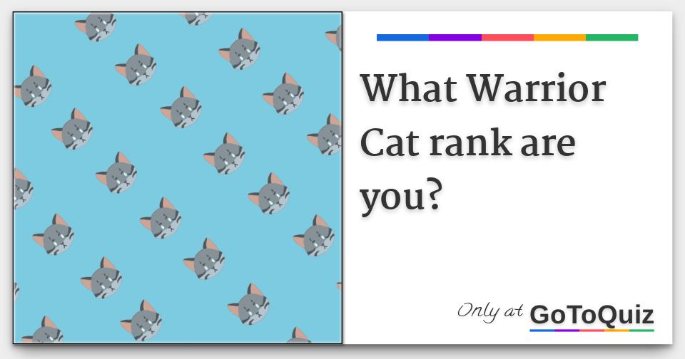 What Warrior Cat rank are you?