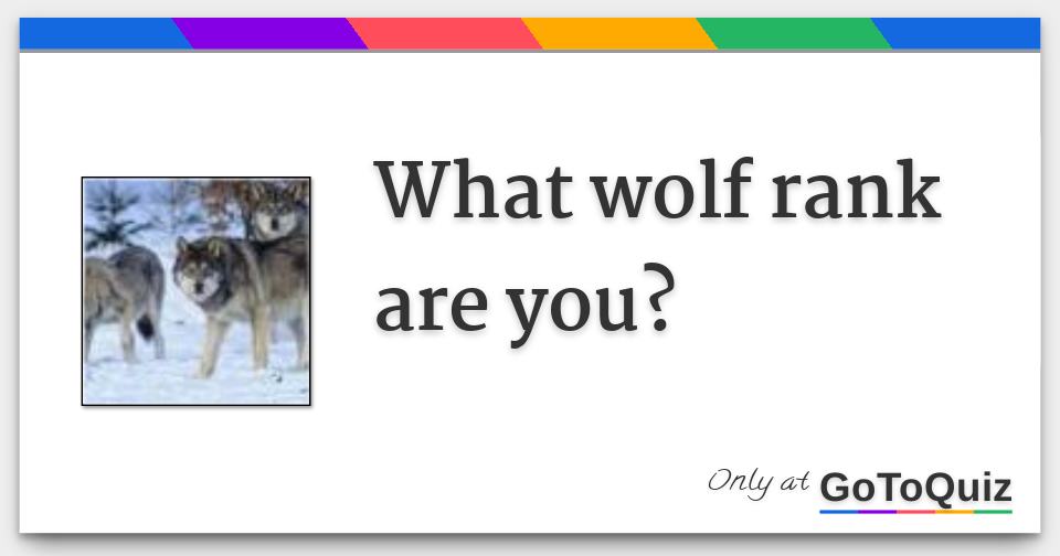 What wolf rank are you?