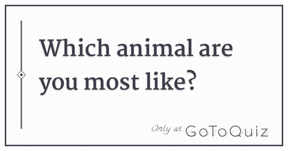 Which animal are you most like?