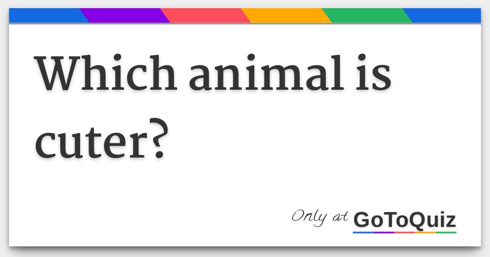 which-animal-is-cuter
