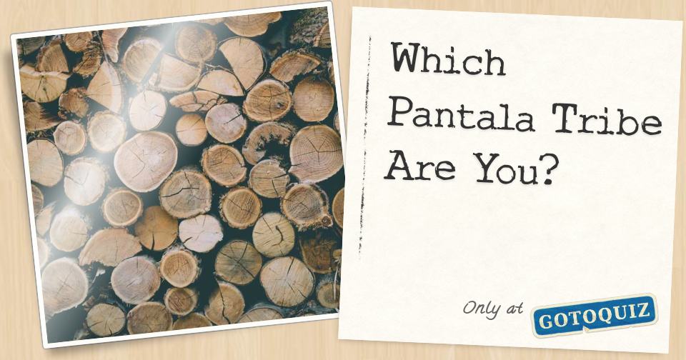 Which Pantala Tribe Are You?