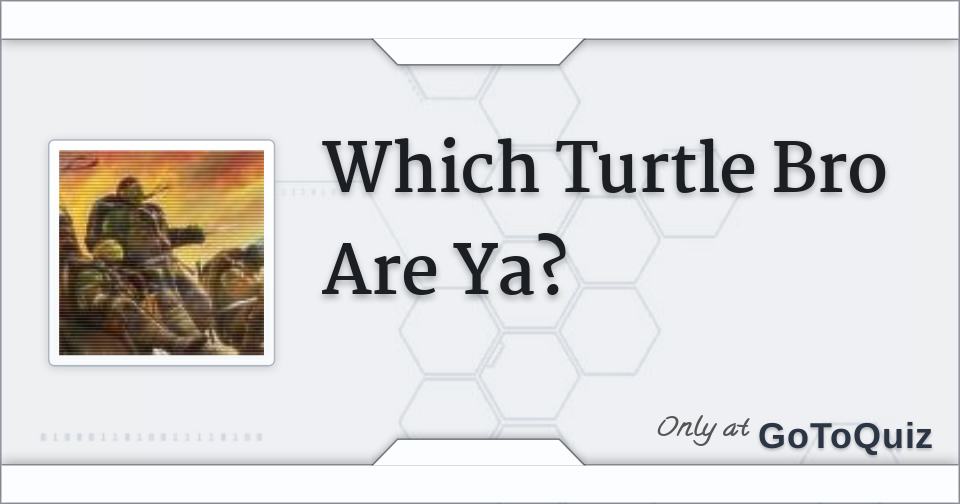 Which Turtle Bro Are Ya?