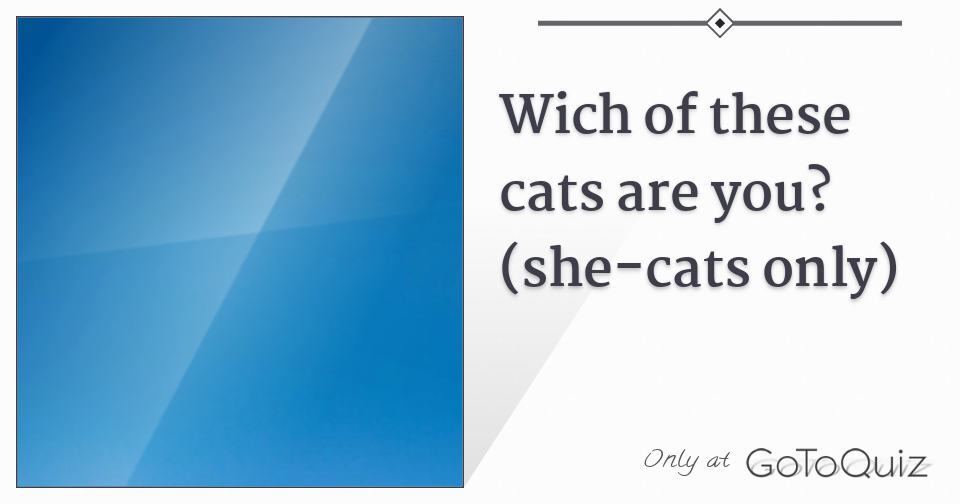 Wich of these cats are you? (she-cats only)