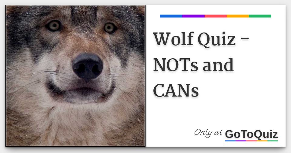 Wolf Quiz - NOTs and CANs