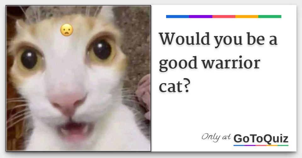 Would you be a good warrior cat?