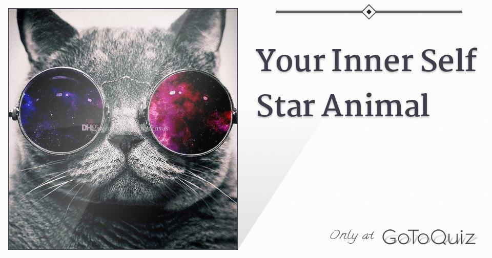 Your Inner Self Star Animal
