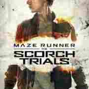 Who's your Maze Runner Boyfriend?