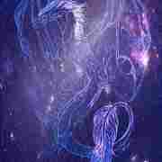 Find out what your star creature is